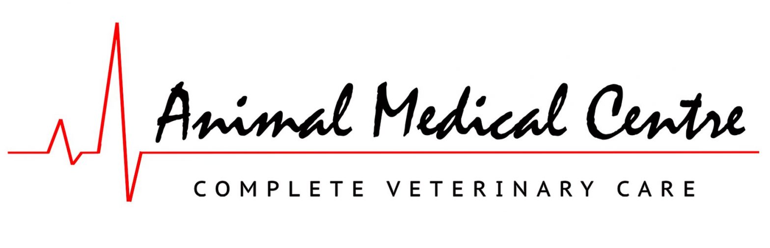 Services – Animal Medical Centre